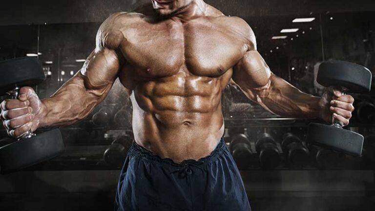 Muscoli: 6 alimenti per farli crescere - TennisTalker Magazine