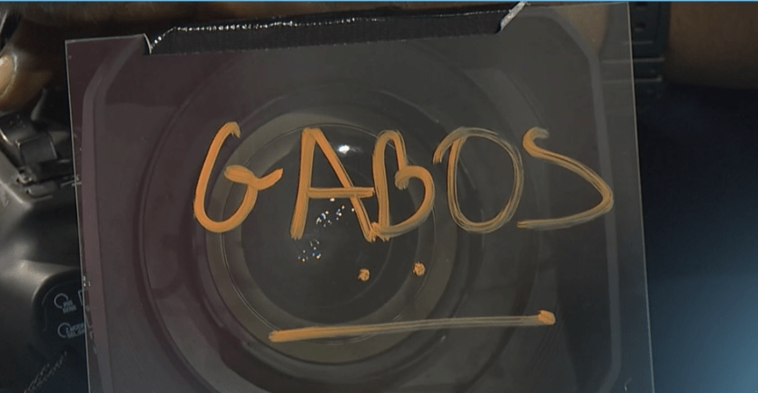 GABOS, a importante mensagem de Arthur Fils sobre amizade